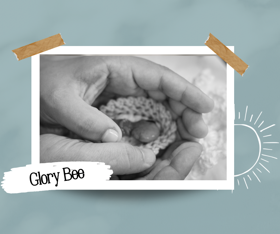 The Importance of Bereavement Photography: Glory Bee’s Story – The ...